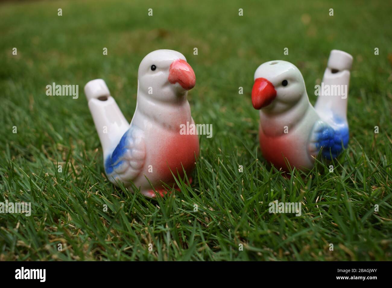 Beautiful earthen clay traditiona Bird toy Whistle on grass , Should ...