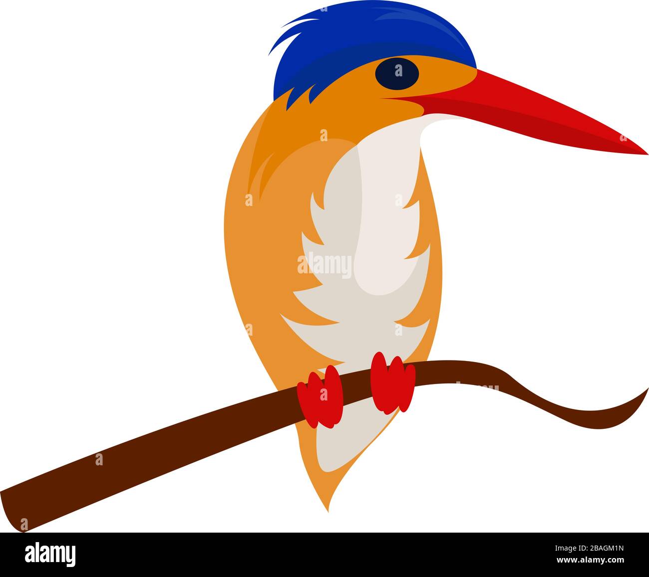 Bird and wildlife park Cut Out Stock Images & Pictures - Alamy