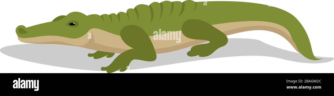 Green alligator, illustration, vector on white background Stock Vector ...