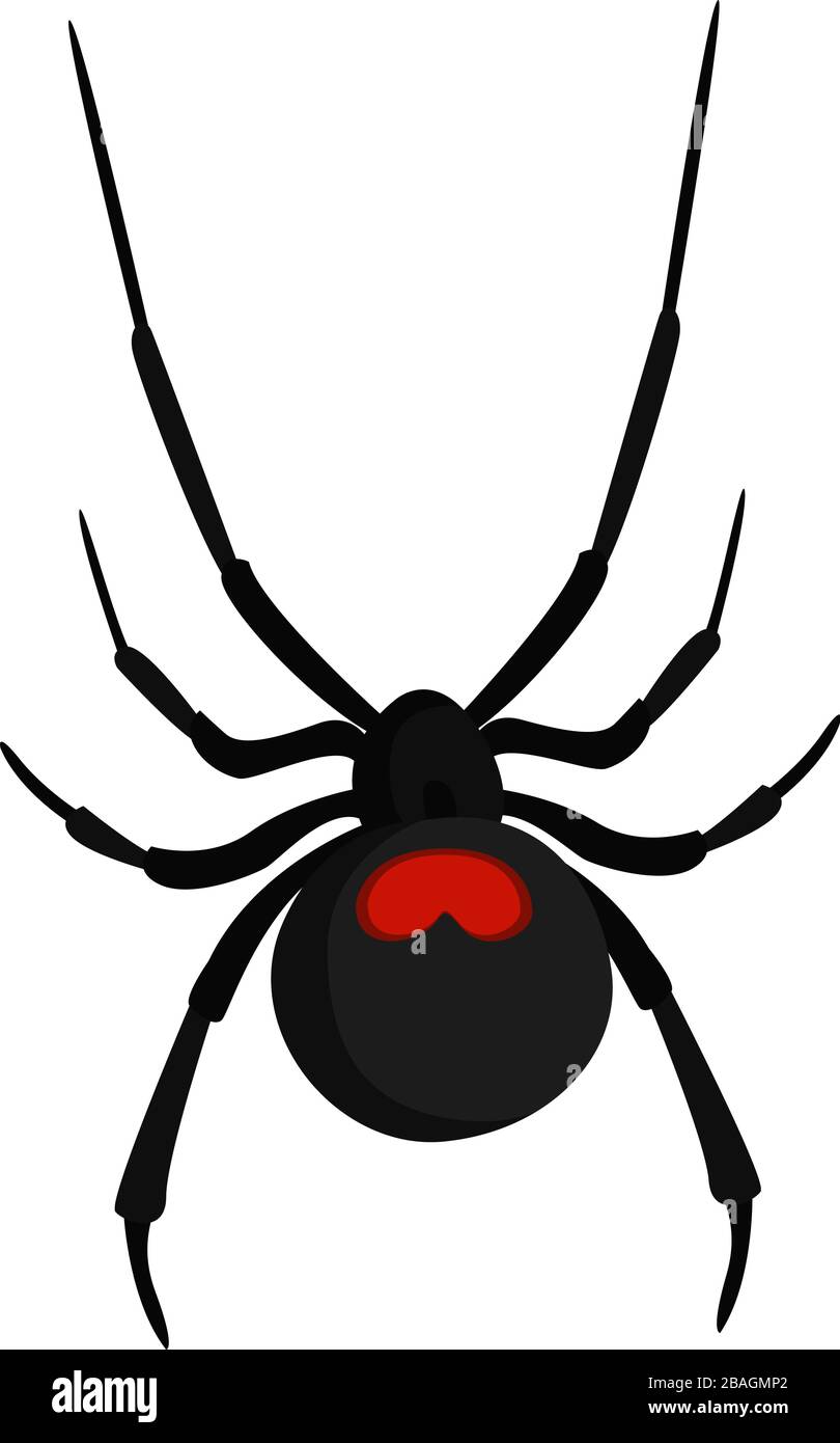 Black widow, illustration, vector on white background Stock Vector ...
