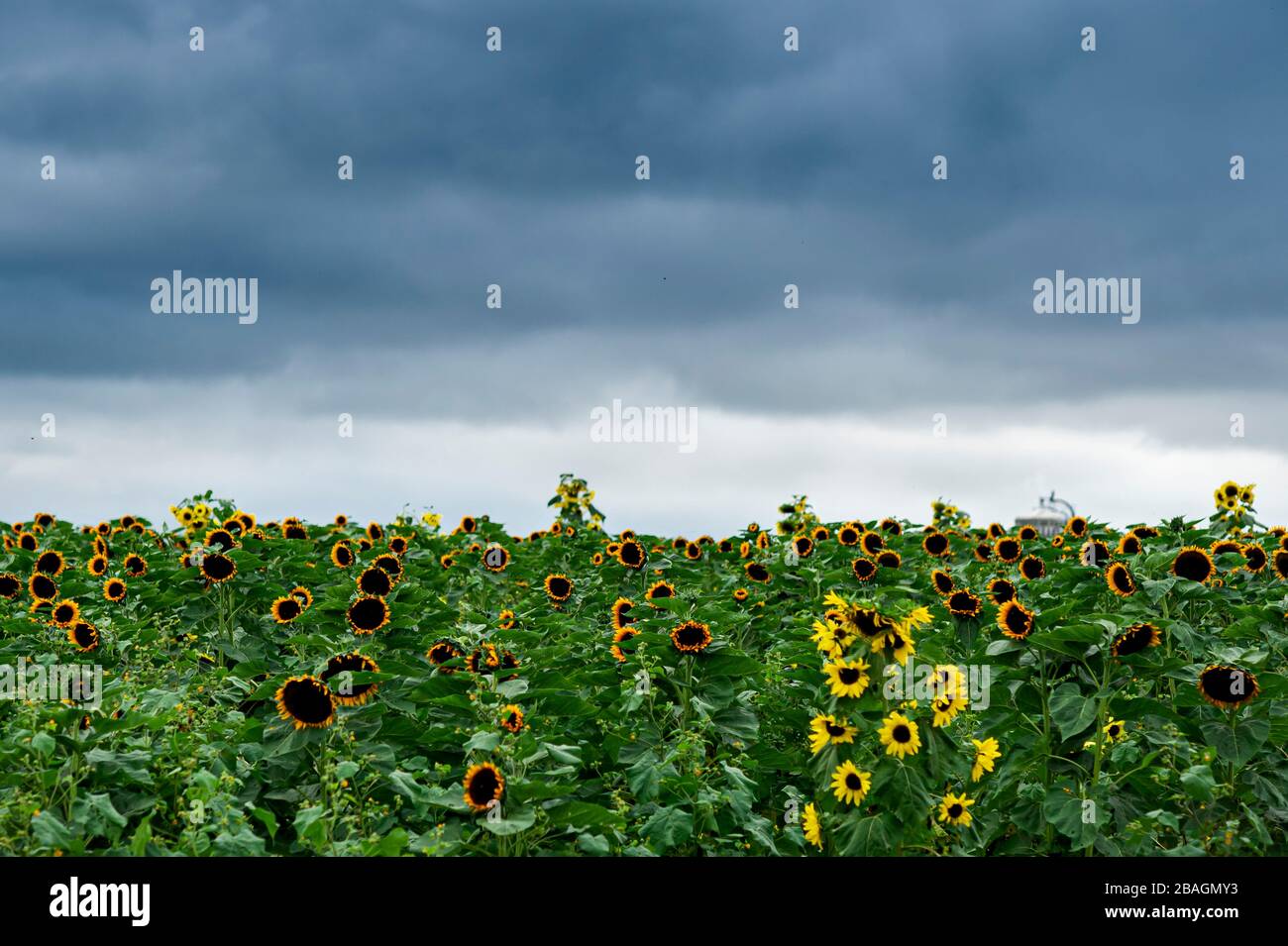 Dark cloudy sky hi-res stock photography and images - Alamy