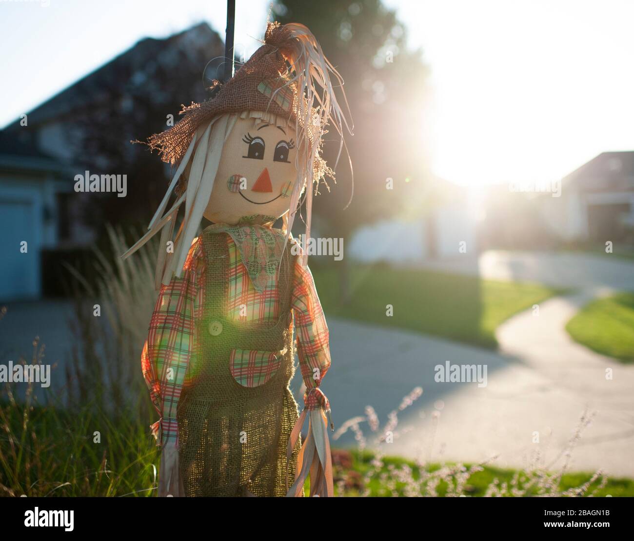 Scarecrow decor in autumn light outdoors Stock Photo - Alamy