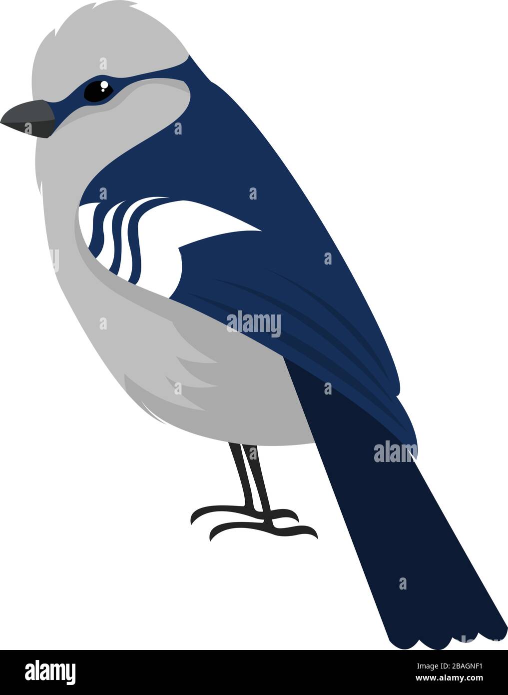 Watercolor blue spot on Stock Vector Images - Alamy