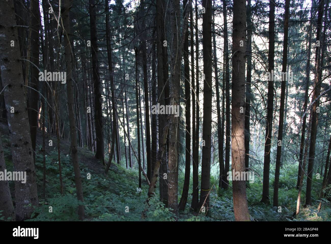 Weather in italy hi-res stock photography and images - Alamy