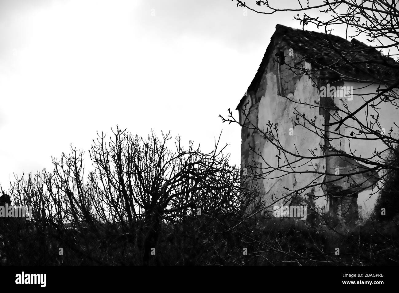 Abandoned and dilapidated house among trees in black and white Stock ...