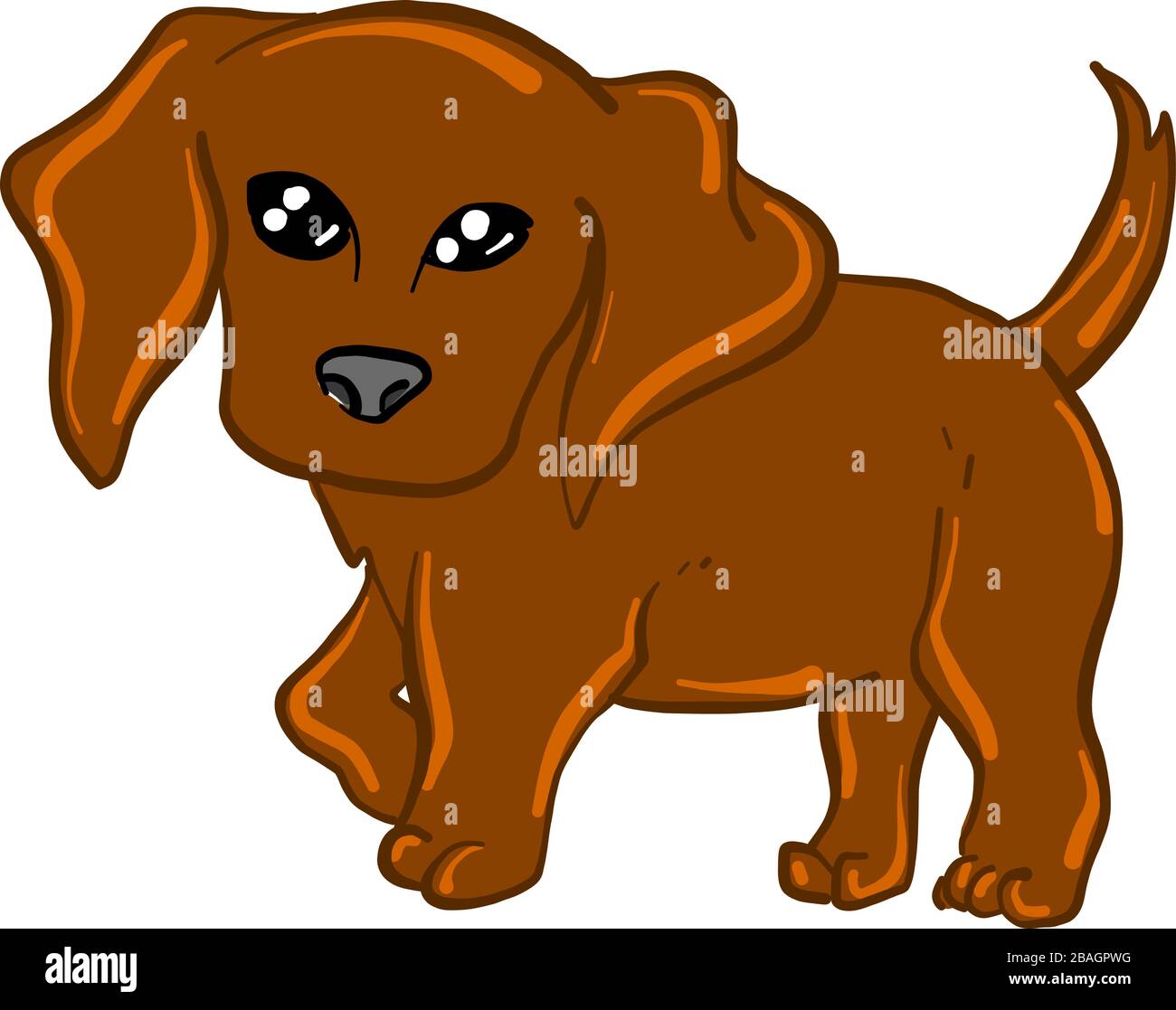 Chestnut dog, illustration, vector on white background Stock Vector ...