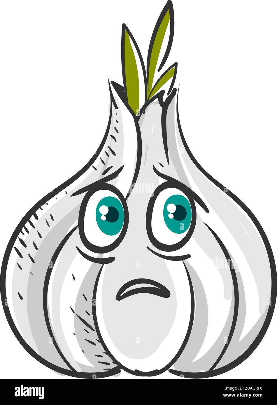 Sad garlic, illustration, vector on white background Stock Vector Image ...