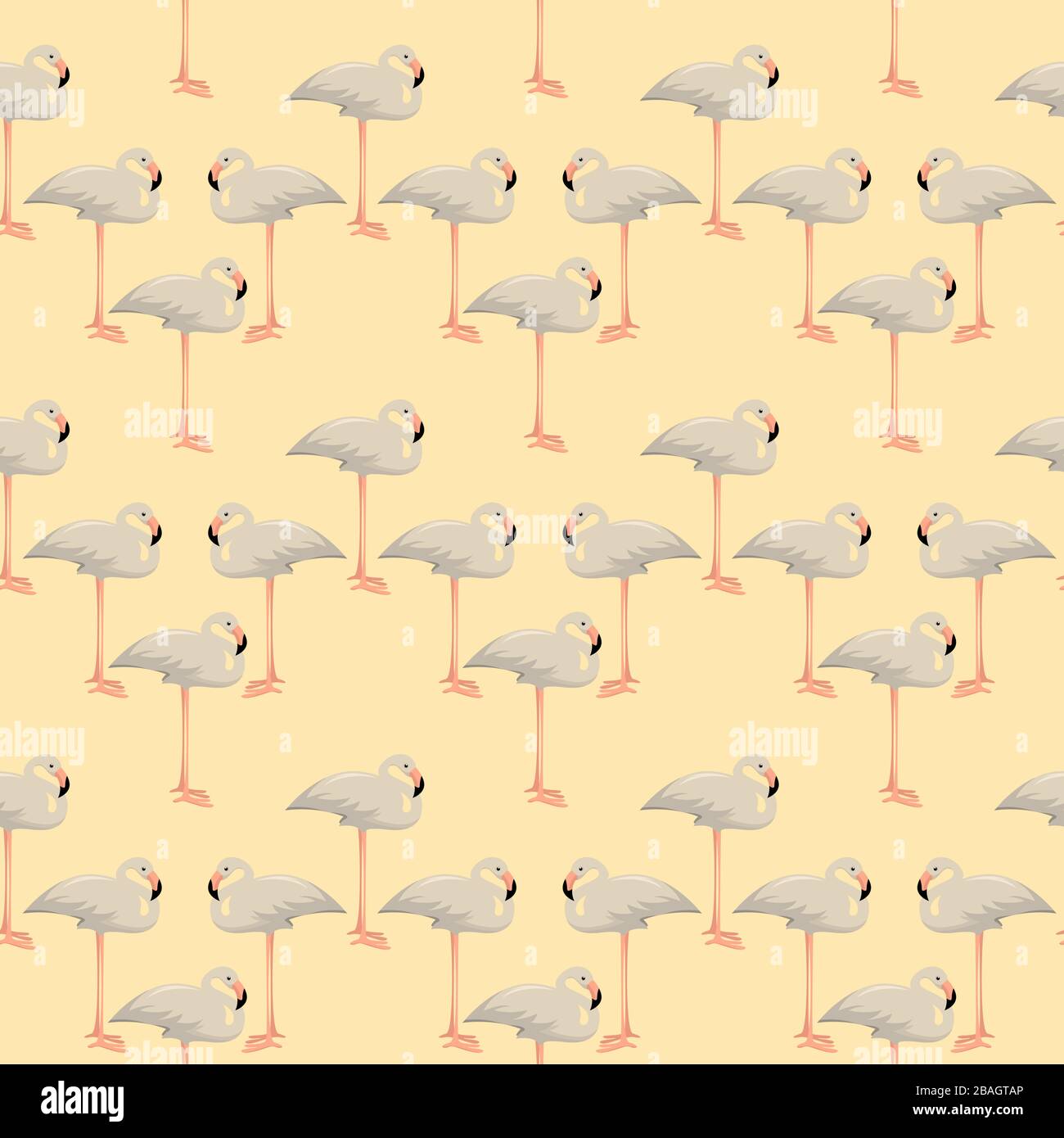 With albino Stock Vector Images - Alamy