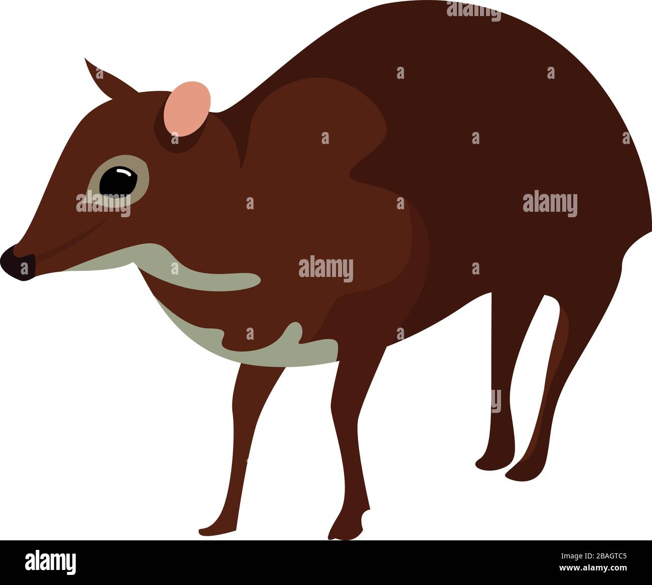 Deer of java Stock Vector Images - Alamy