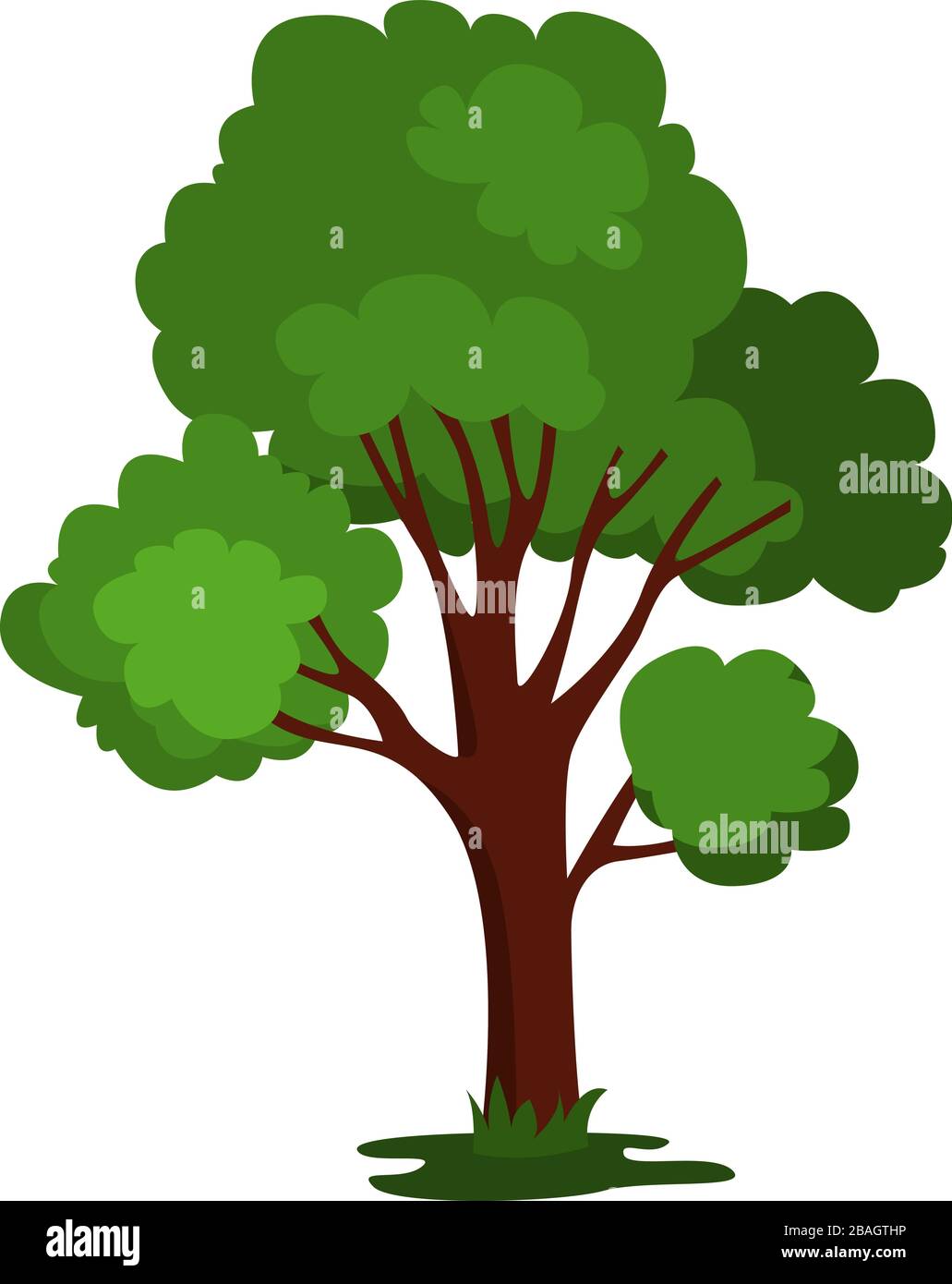 Green tall tree, illustration, vector on white background Stock Vector ...