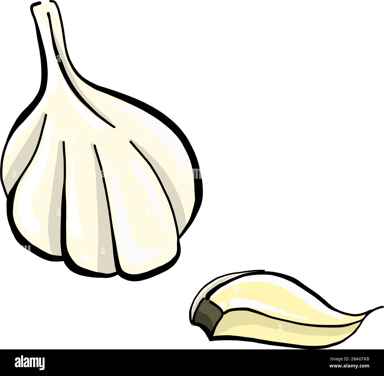 Garlic clove on kitchen Stock Vector Images - Alamy