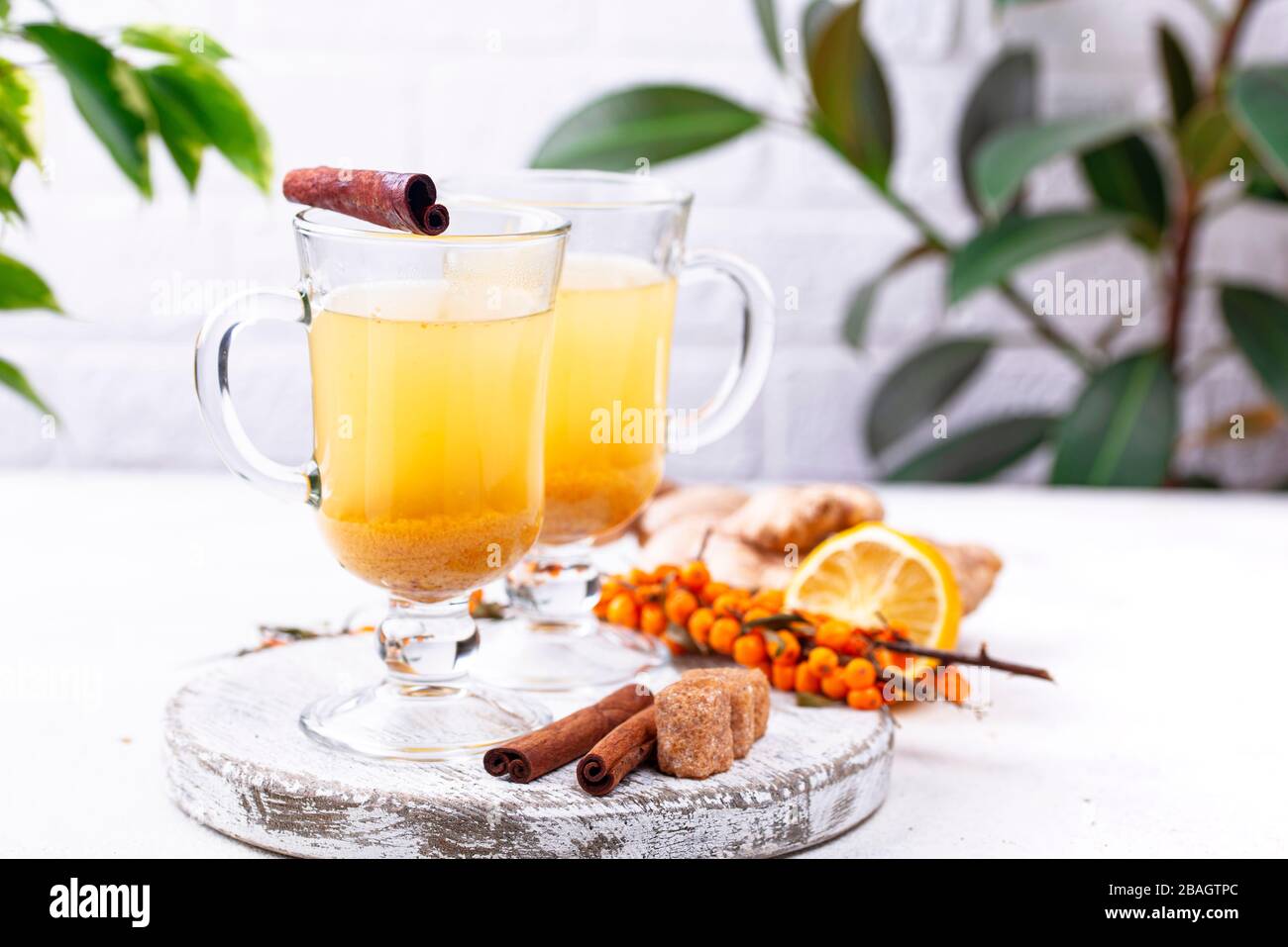 Hot sea buckthorn winter hi-res stock photography and images - Alamy