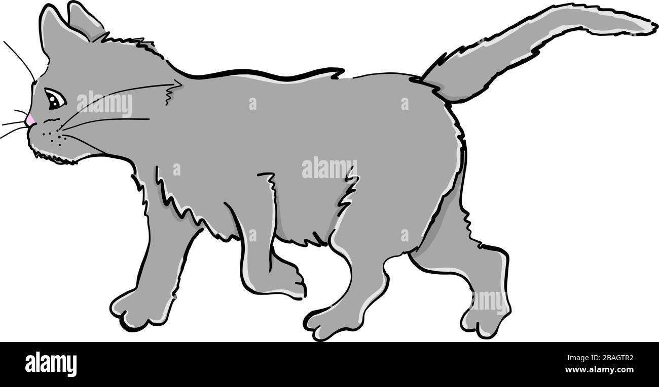 Grey cat, illustration, vector on white background Stock Vector Image ...