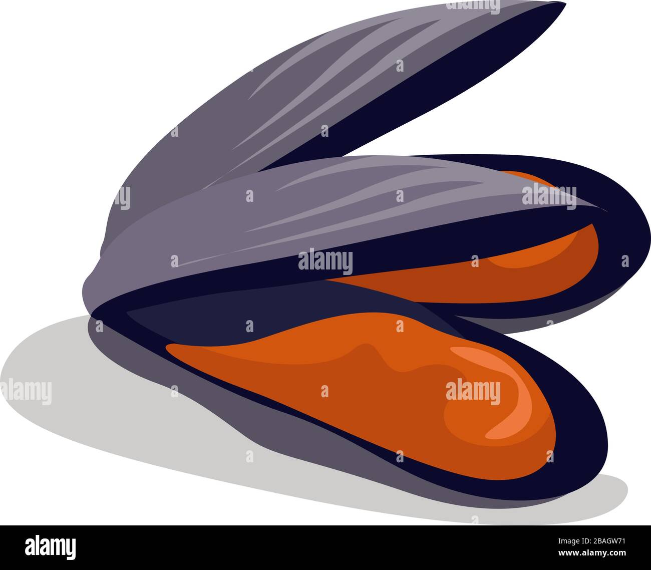 Purple mussel, illustration, vector on white background Stock Vector ...