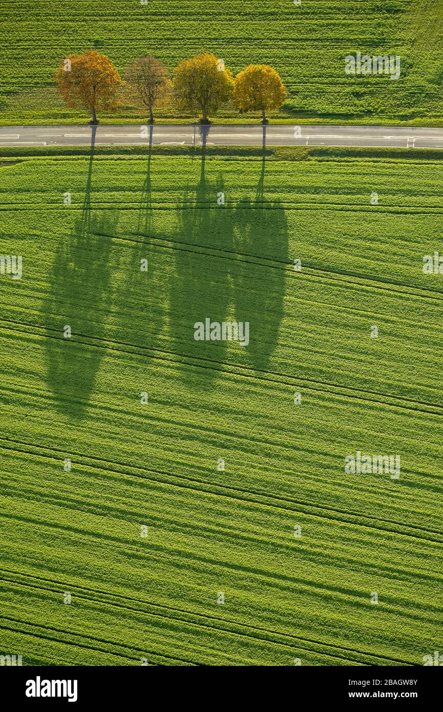 Long roads and scenery hi-res stock photography and images - Alamy