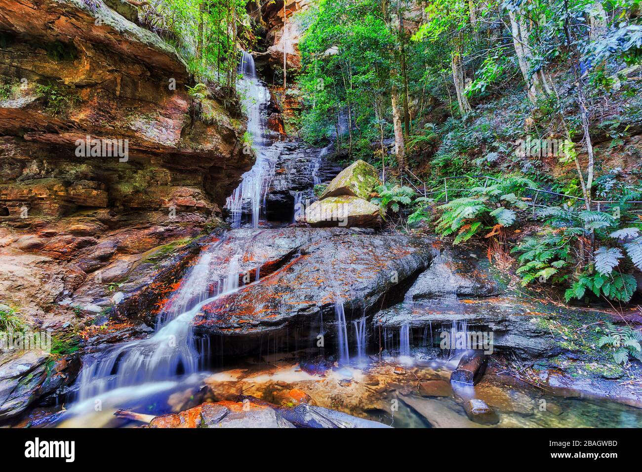 Cool Temperate Rainforest High Resolution Stock Photography and Images ...