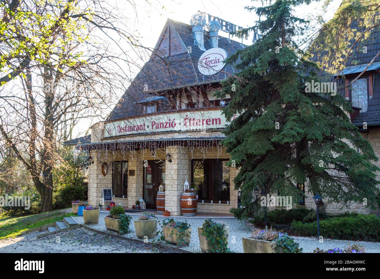 Tercia hubertus hi-res stock photography and images - Alamy