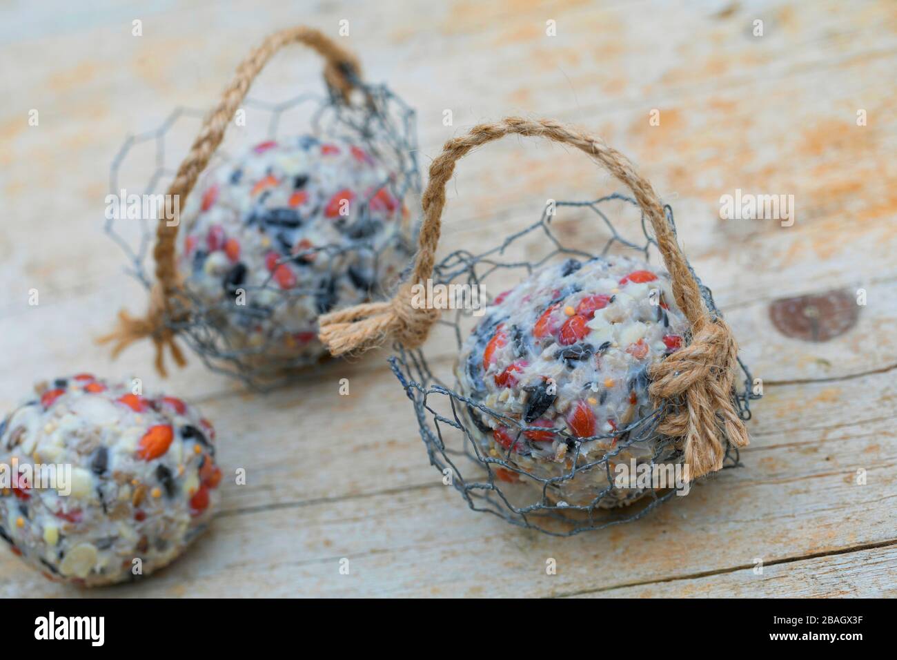making a holder for fat balls, series picture 6/6, Germany Stock Photo ...
