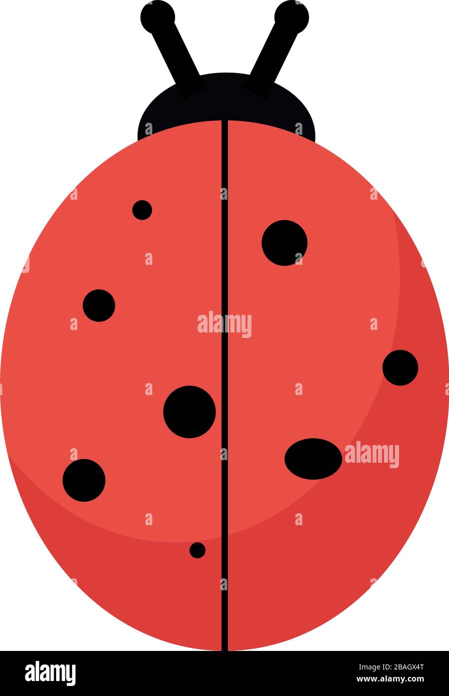 Flat ladybug, illustration, vector on white background Stock Vector ...