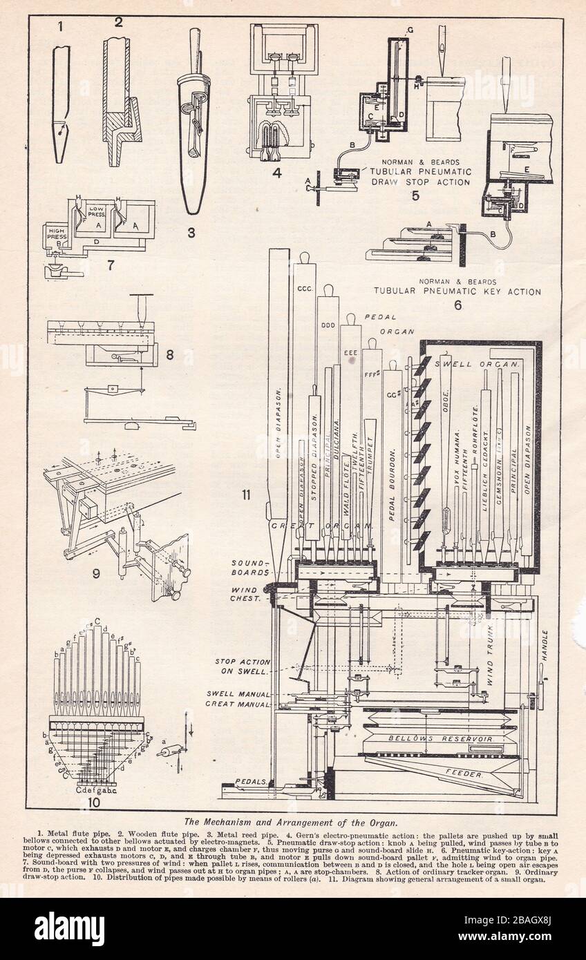 Vintage diagrams of The Mechanism and Arrangement of the Organ 1900s ...