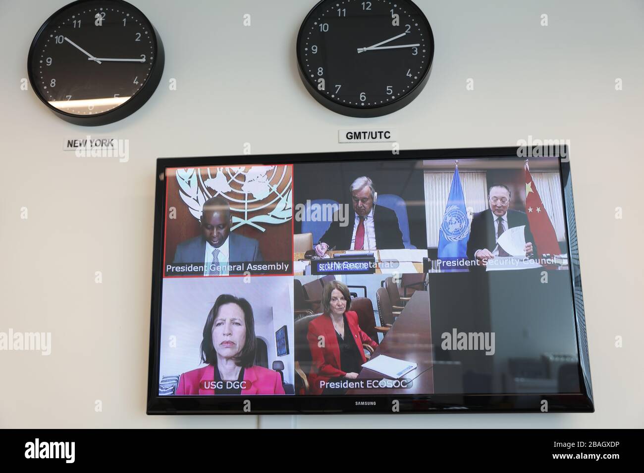 Principal organs of un hi-res stock photography and images - Alamy