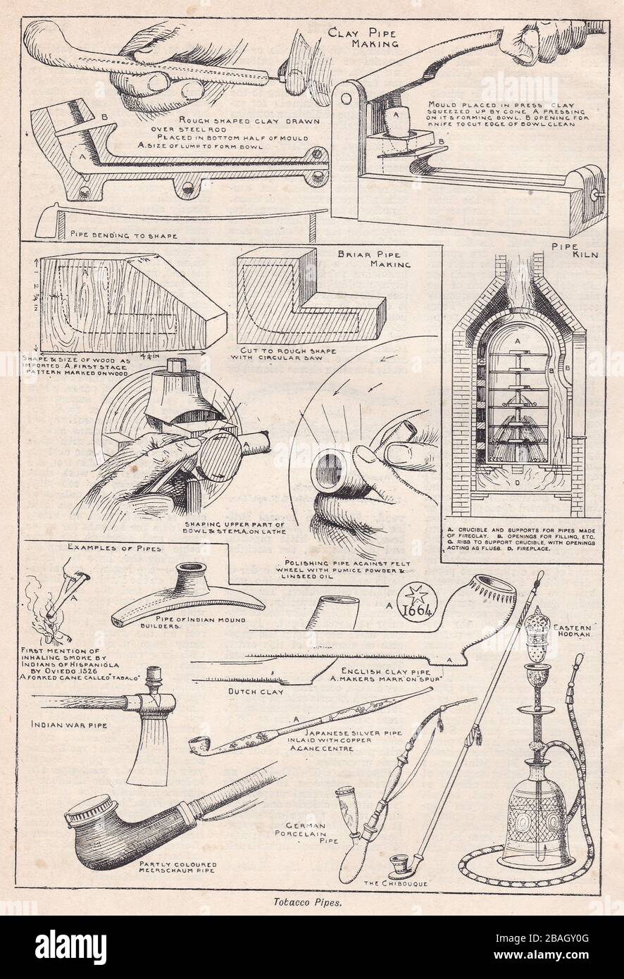 Forked cane called tabaco hi-res stock photography and images - Alamy
