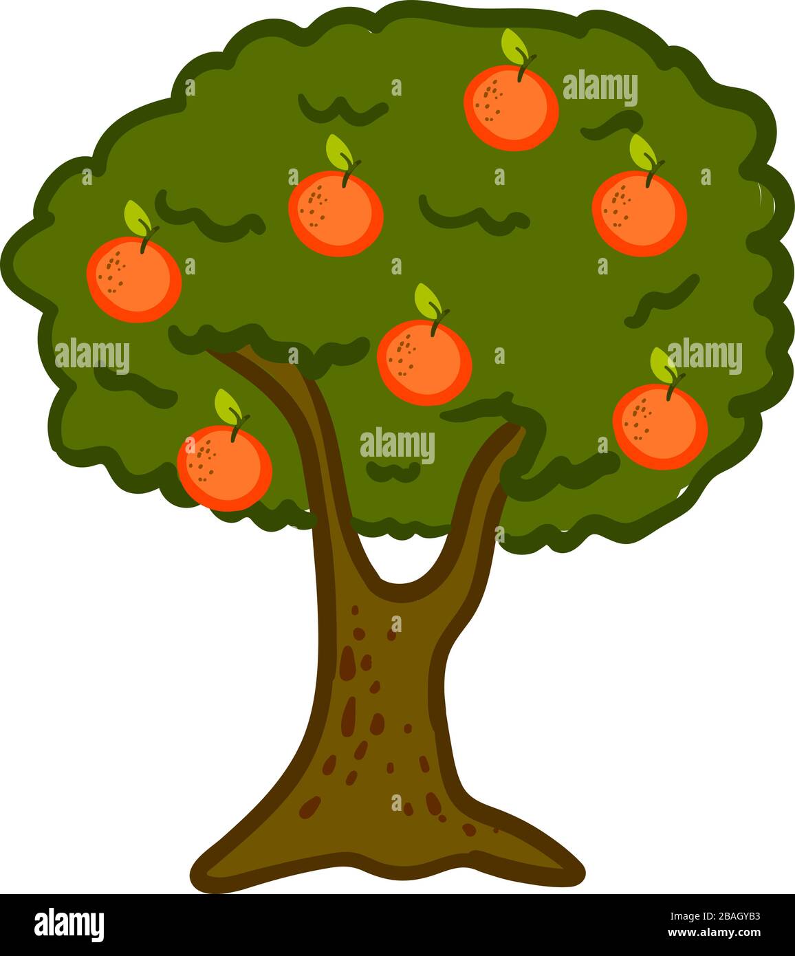 Orange tree, illustration, vector on white background Stock Vector ...