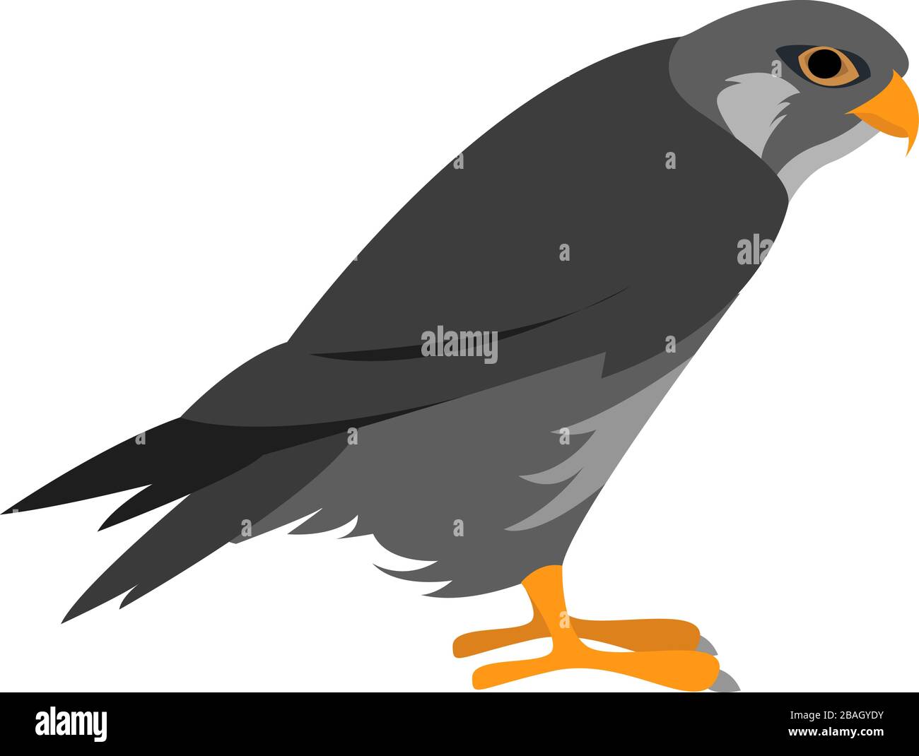 Predatory bird, illustration, vector on white background Stock Vector ...