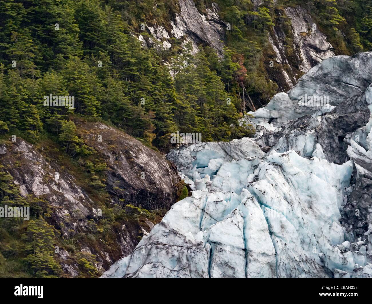 The advancing of Garibaldi glacier in Patagonia Chile just off the ...