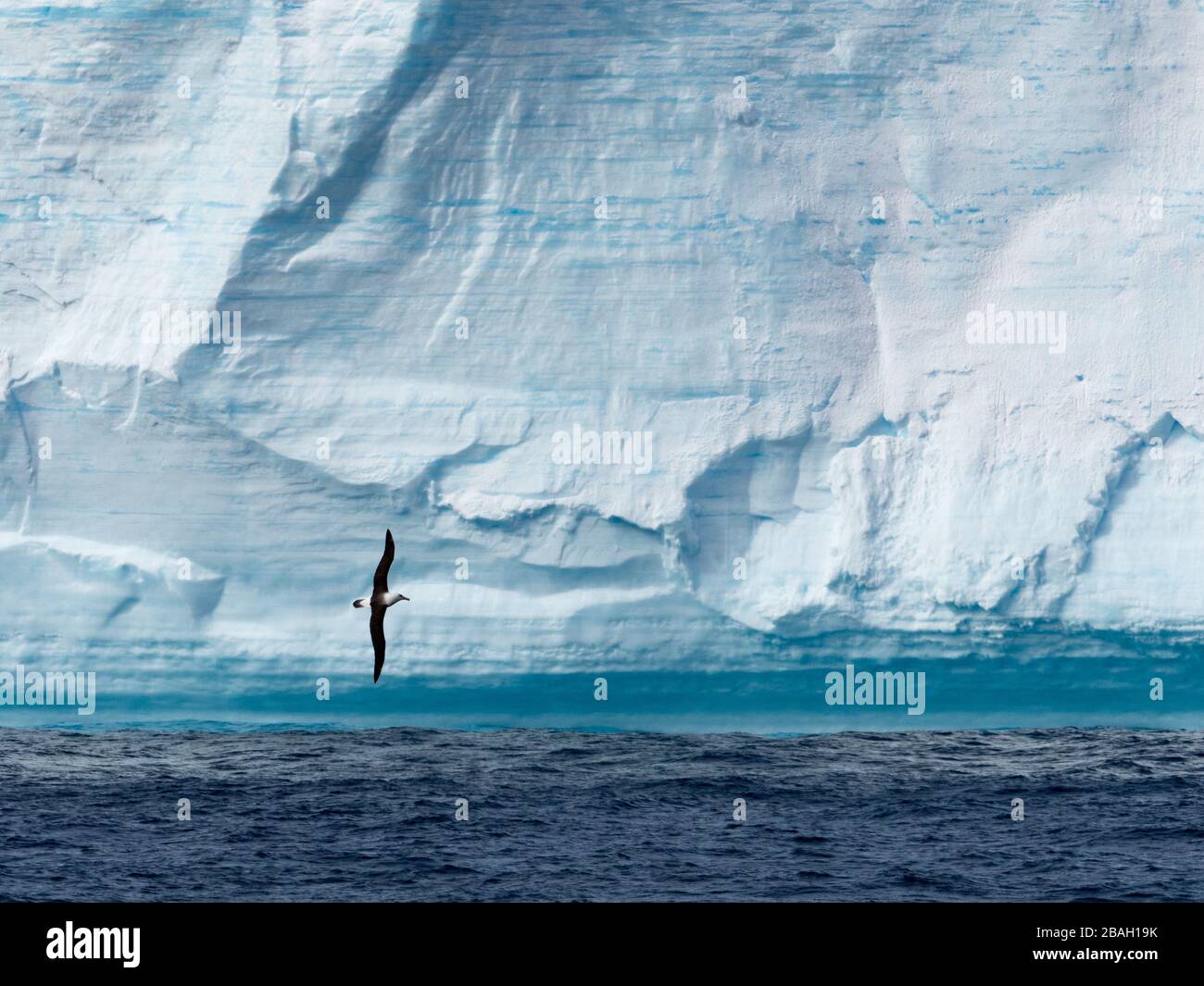 Larsen c ice sheet hi-res stock photography and images - Alamy