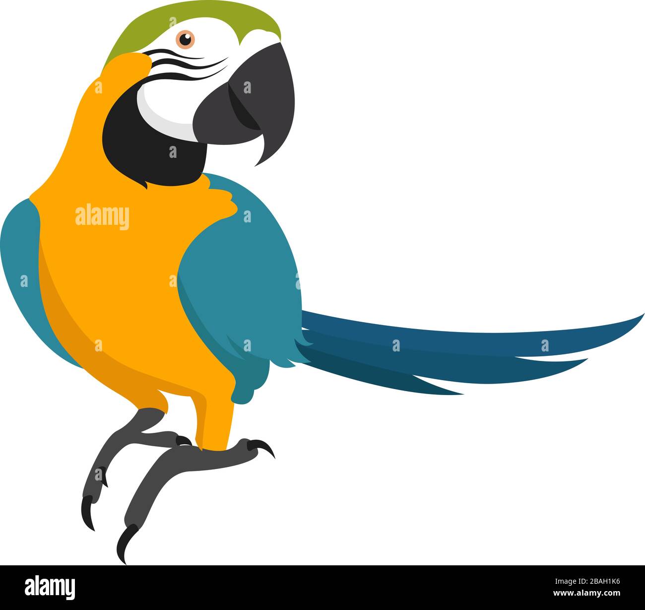 Yellow parrot, illustration, vector on white background Stock Vector ...