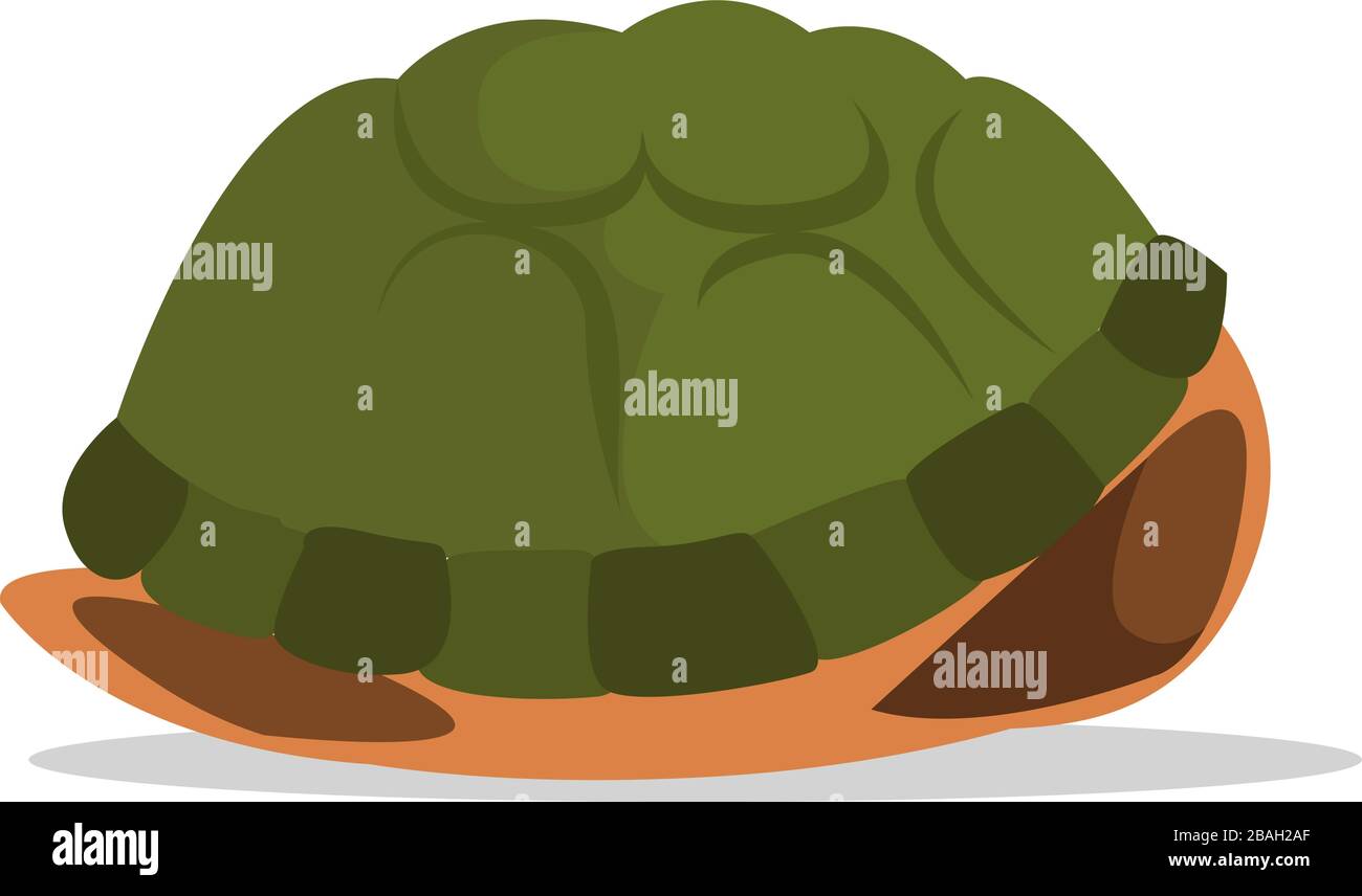 Turtles vector vectors hi-res stock photography and images - Alamy