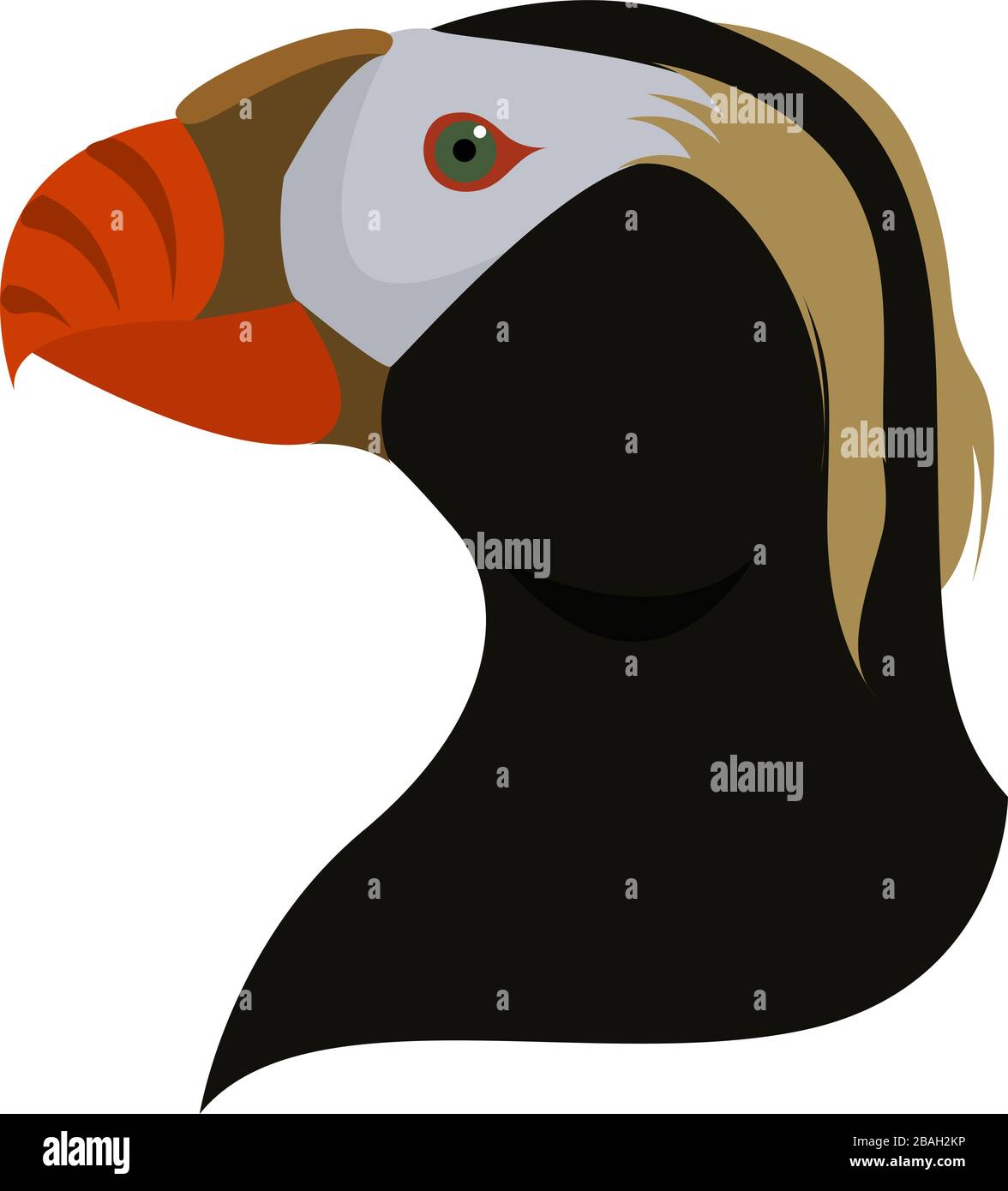 Tufted puffin, illustration, vector on white background Stock Vector ...