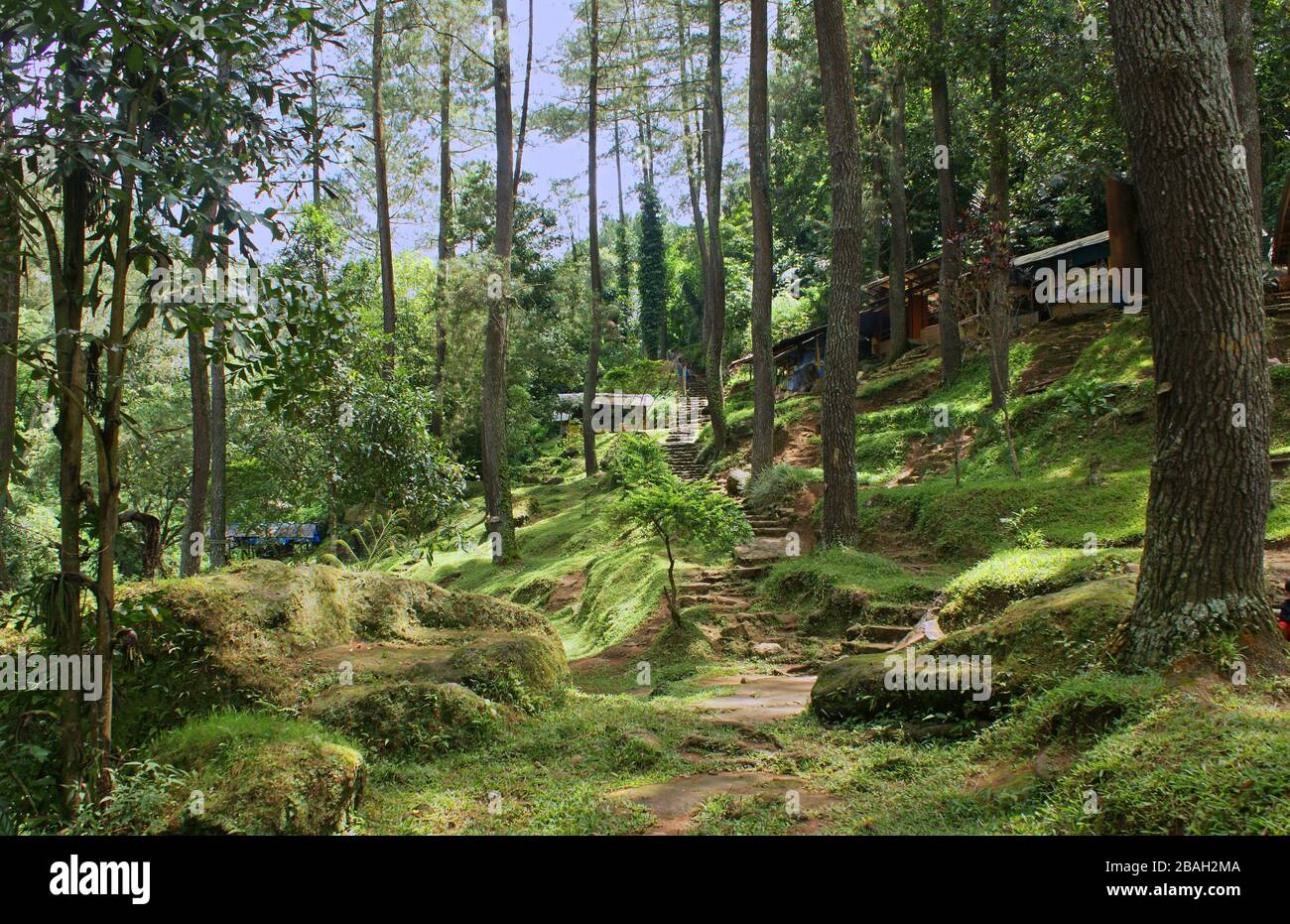 Maribaya Park, Hutan Raya Dago, Lembang, Bandung, West Java, Indonesia ...