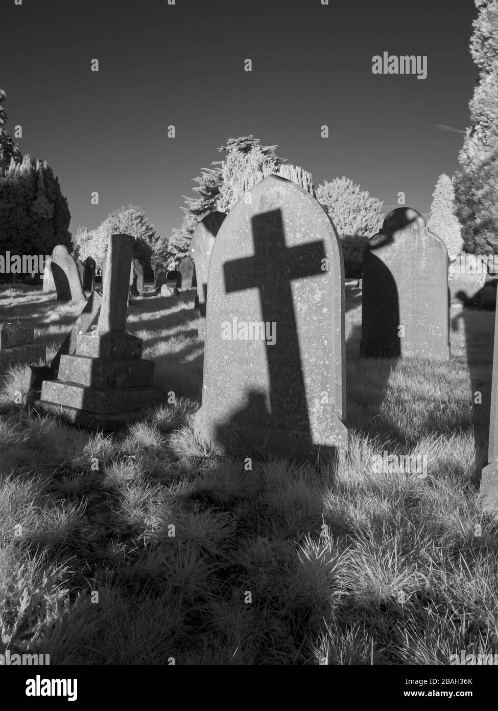 Grave Gravestone Cemetery High Resolution Stock Photography and Images ...