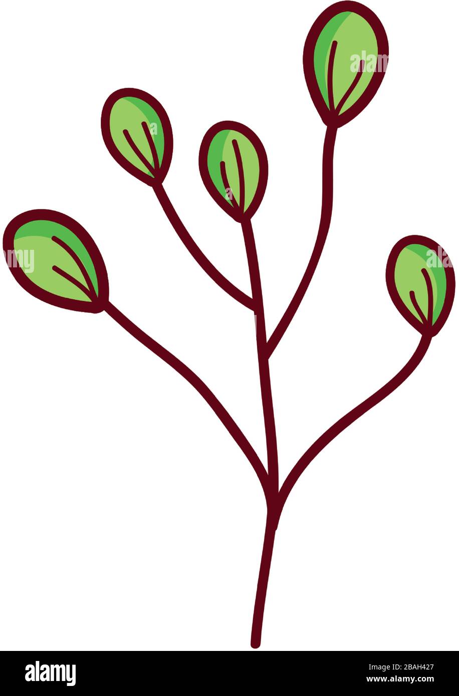 branch leaves foliage cartoon isolated icon design vector illustration ...