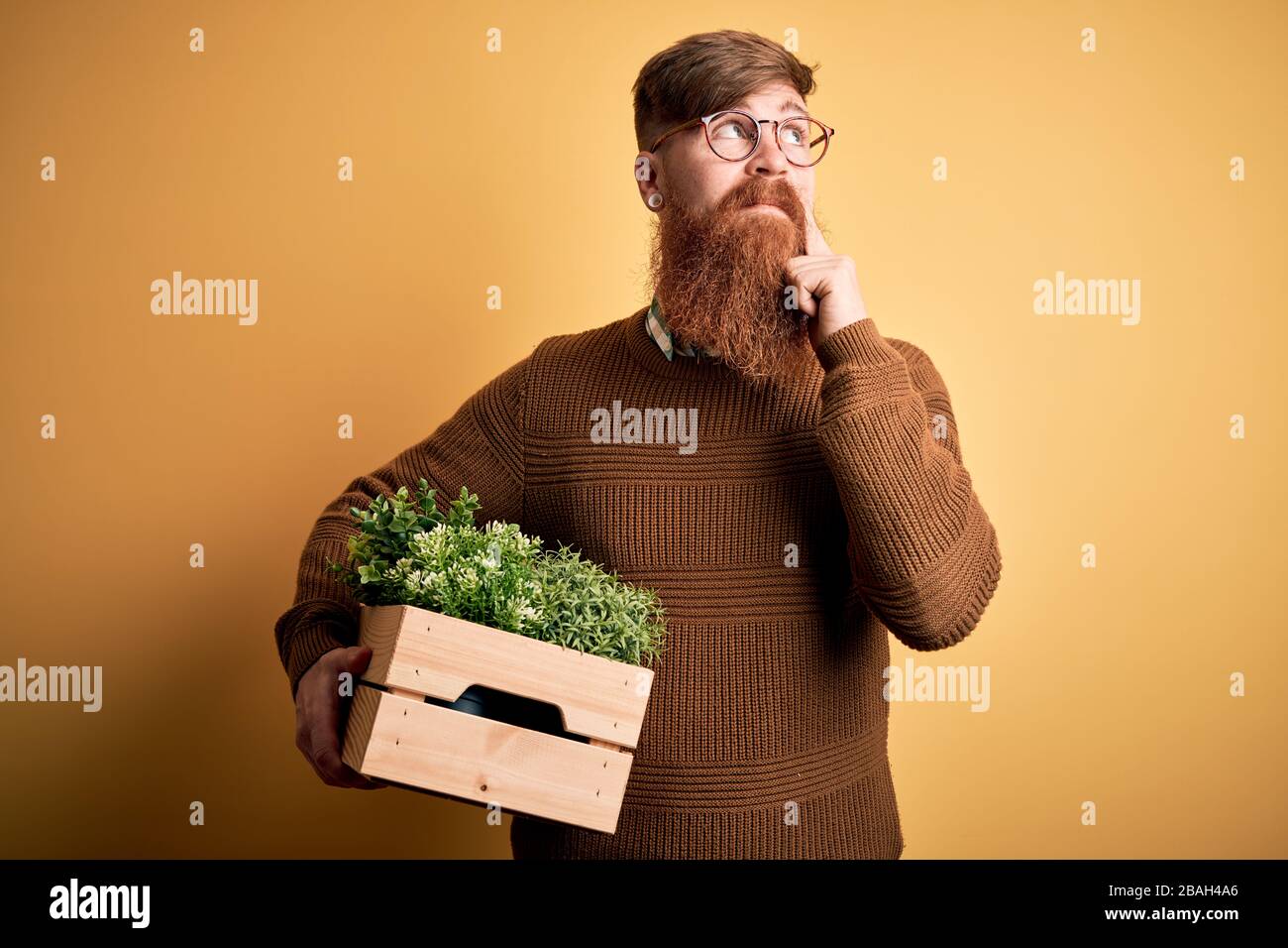 Redhead Irish man with beard holding wooden box with fresh plants over ...