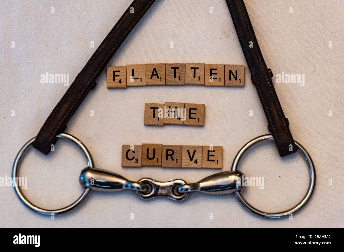 FLATTEN THE CURVE in scrabble blocks on a white background french link ...