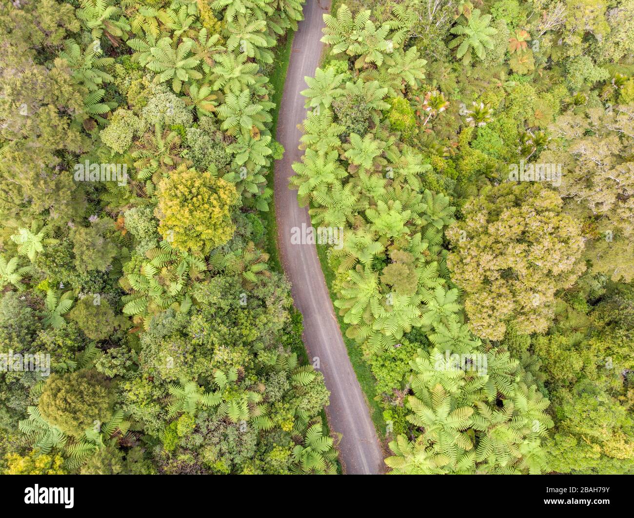 Jungle shot drone hi-res stock photography and images - Alamy