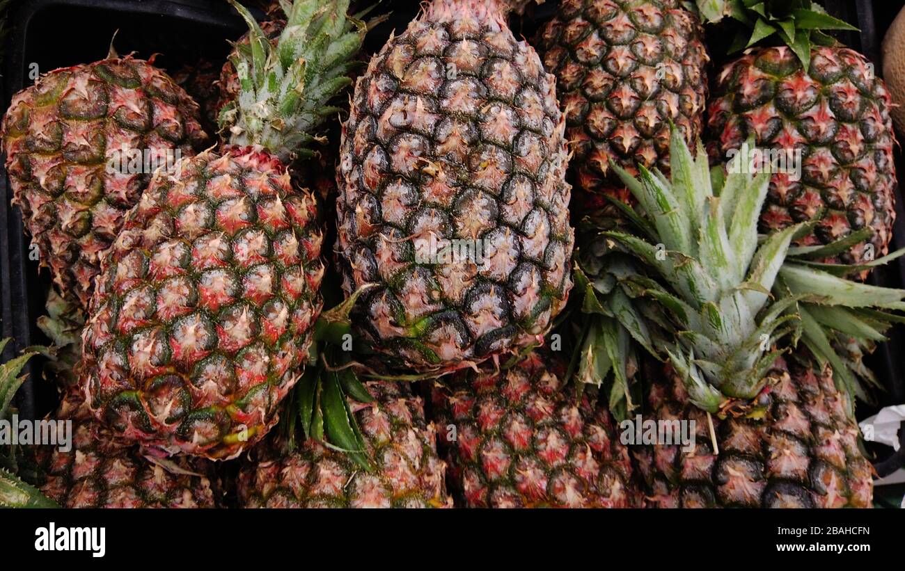 Ananas pina pinas hi-res stock photography and images - Alamy