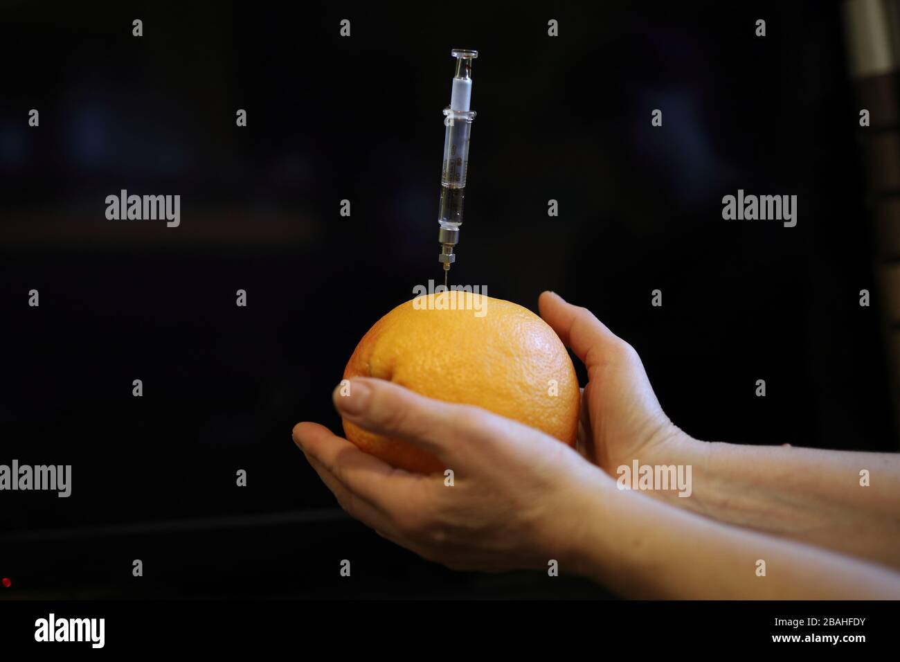 syringe stuck in orange fruit Stock Photo - Alamy