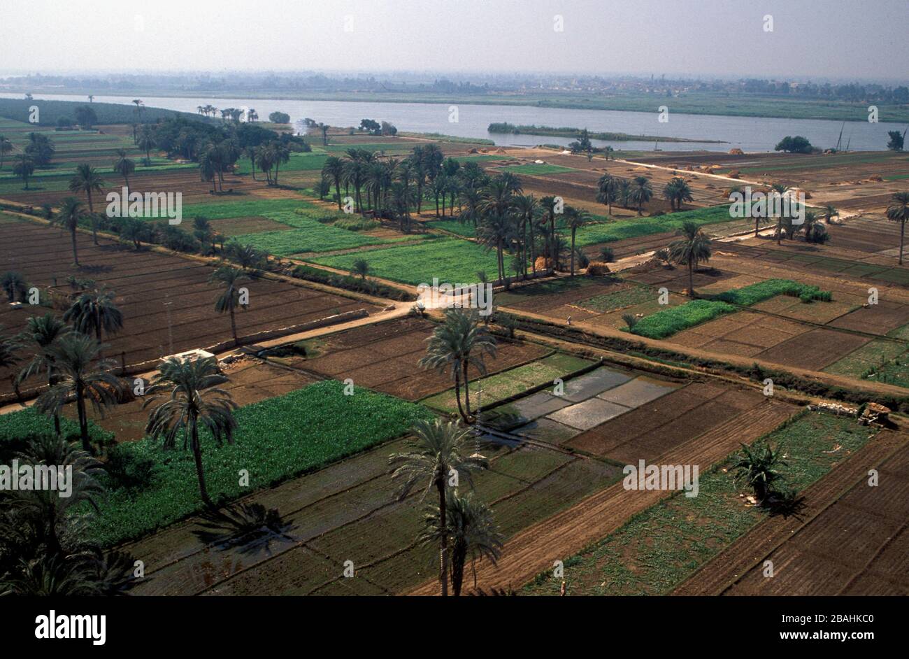 Irrigated farms from the Nile river at Minya, Egypt Stock Photo - Alamy