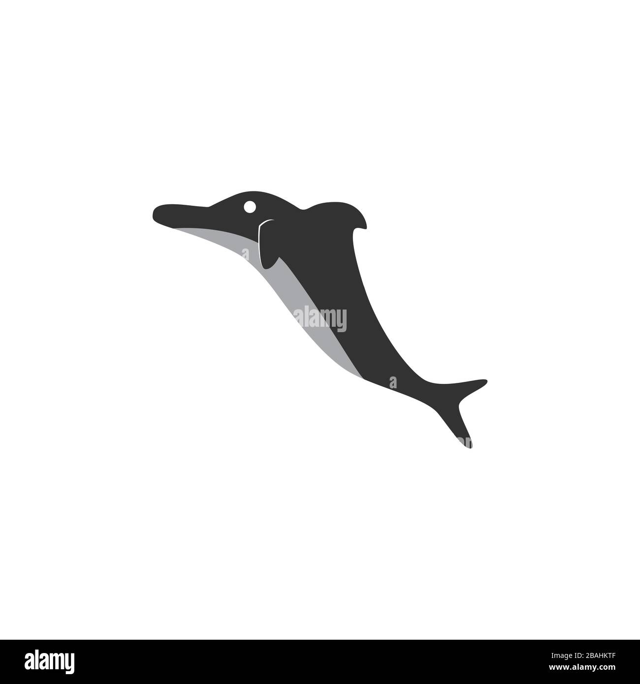 dolphins graphic design template vector isolated Stock Vector Image ...