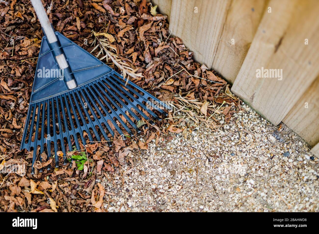 rake next to pile of fallen autumn leaves on gravel next to wooden ...