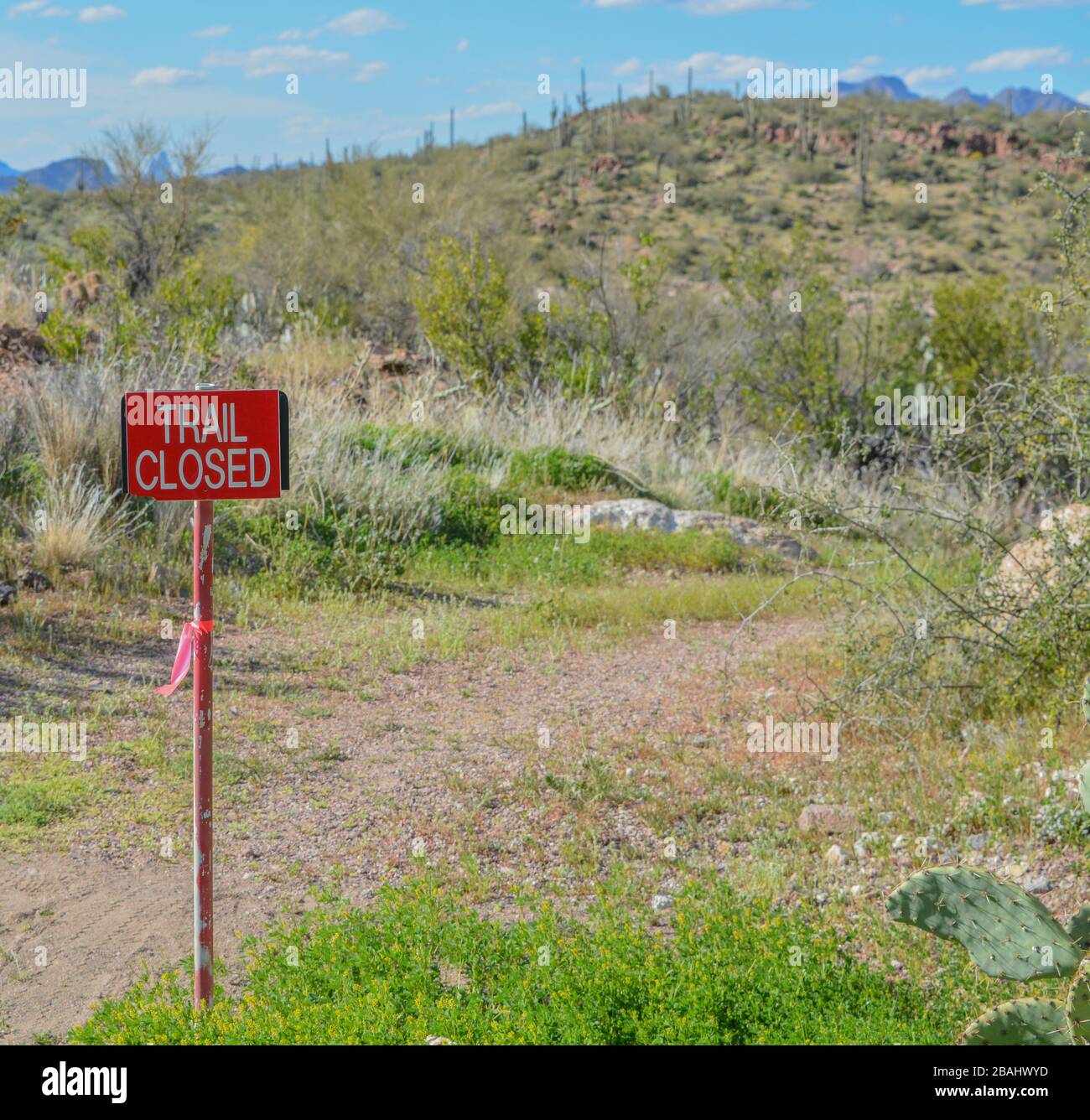 Trail Closed Sign in a park near Superior, Pinal County, Arizona USA ...