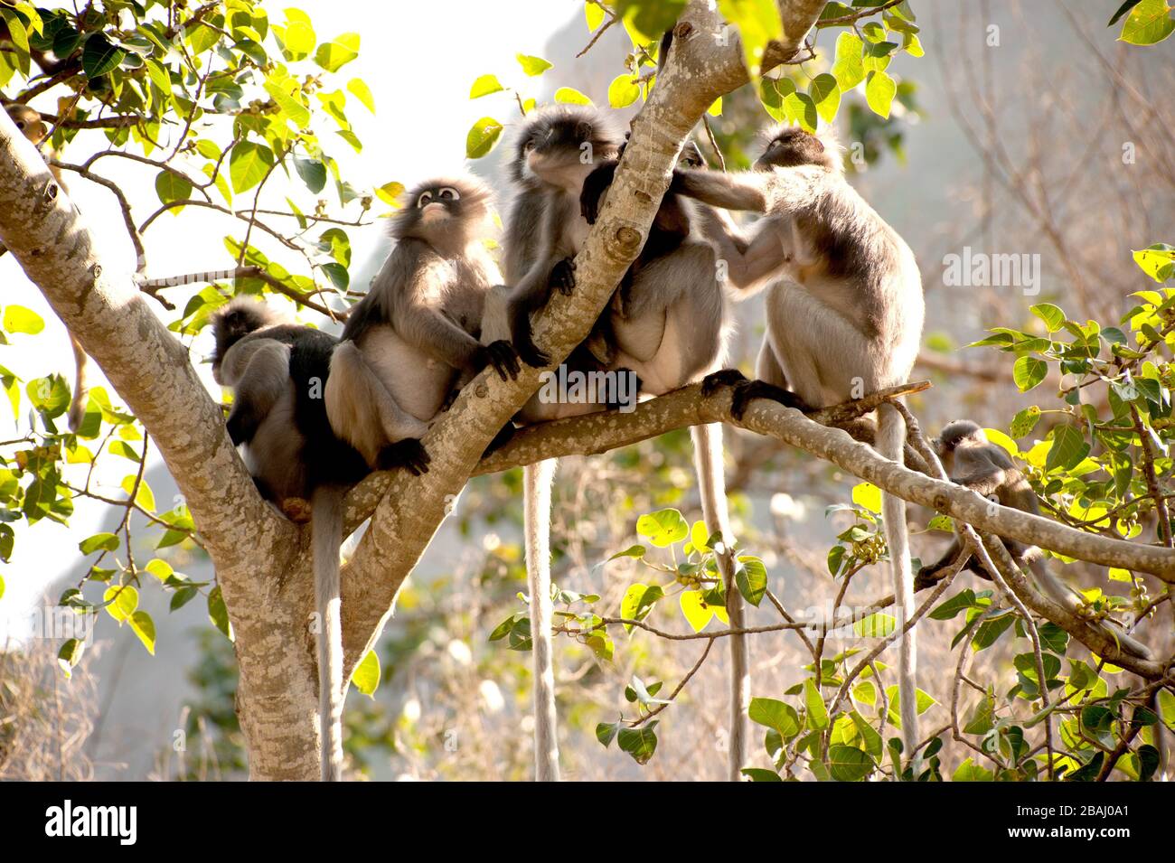 Reid family hi-res stock photography and images - Alamy
