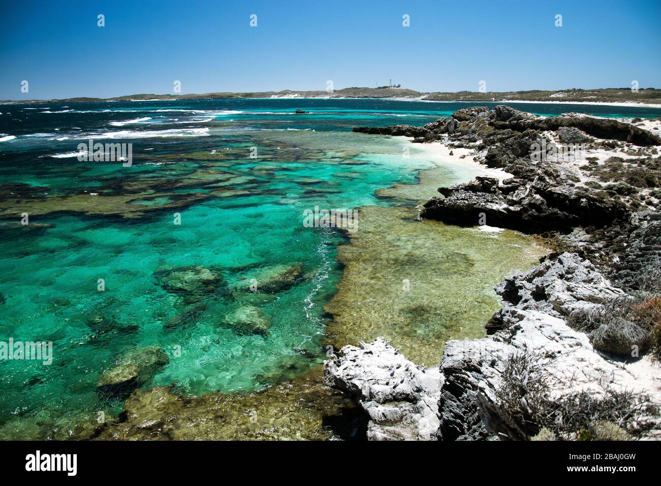 Rottnest island western australia hi-res stock photography and images ...