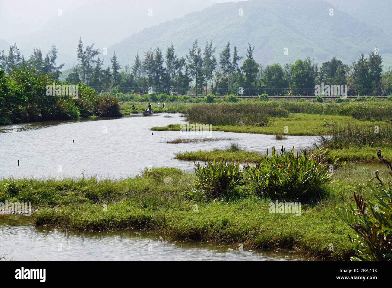 landscape in the bach ma national park in vietnam Stock Photo - Alamy