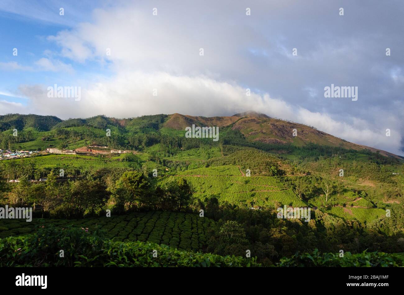 Munnar town hi-res stock photography and images - Alamy