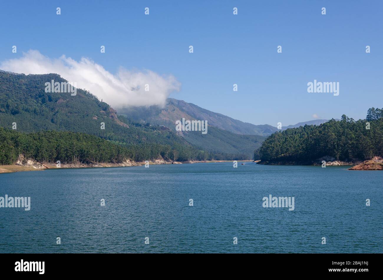 Beautiful view of the Mattupetty Lake near Mattupetty Dam on the way to ...